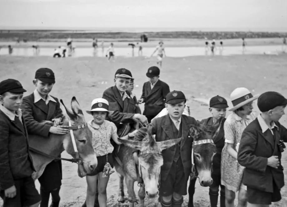 Fegans Heritage | James Fegan